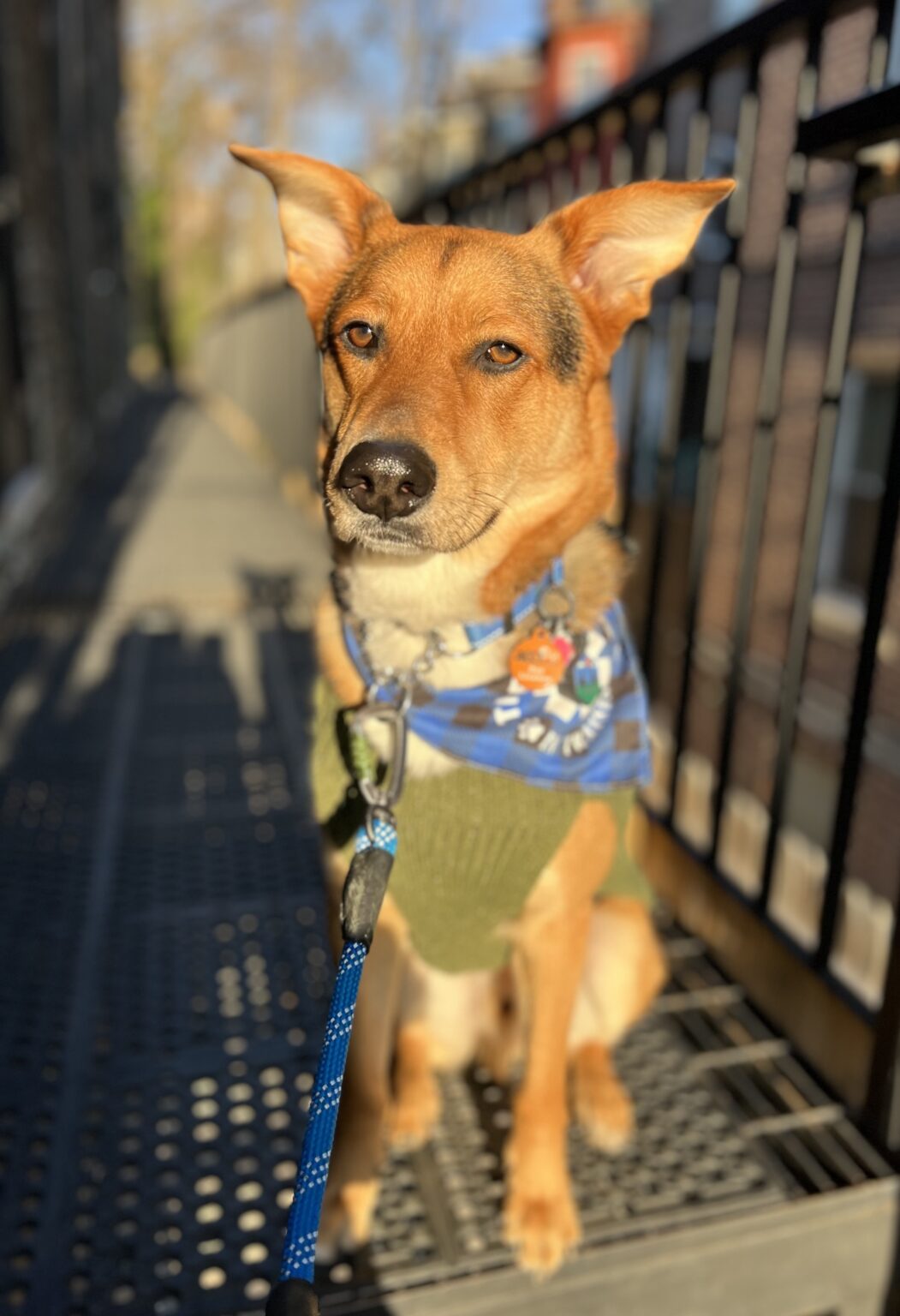 the purest love. | SeeingHappy